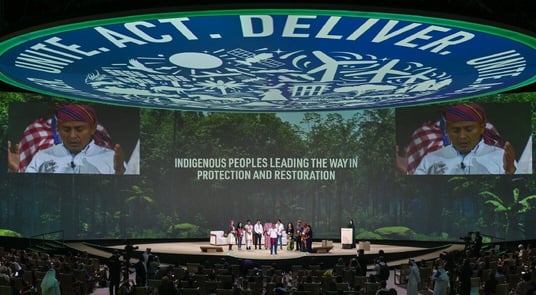 What to expect from COP16 UN Biodiversity Conference in Colombia?