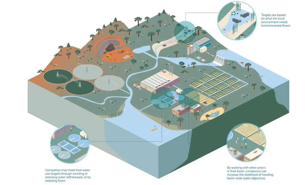 What is CDP and How Does It Help Companies with Sustainability?