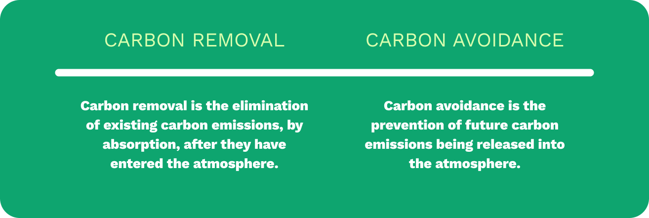 What is the difference between carbon removal and avoidance projects?