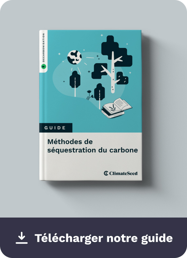 Tout ce que vous devez savoir sur la captation du carbone