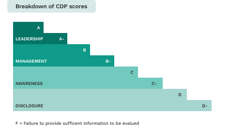The Evolution of the CDP: Current Developments and Key Trends