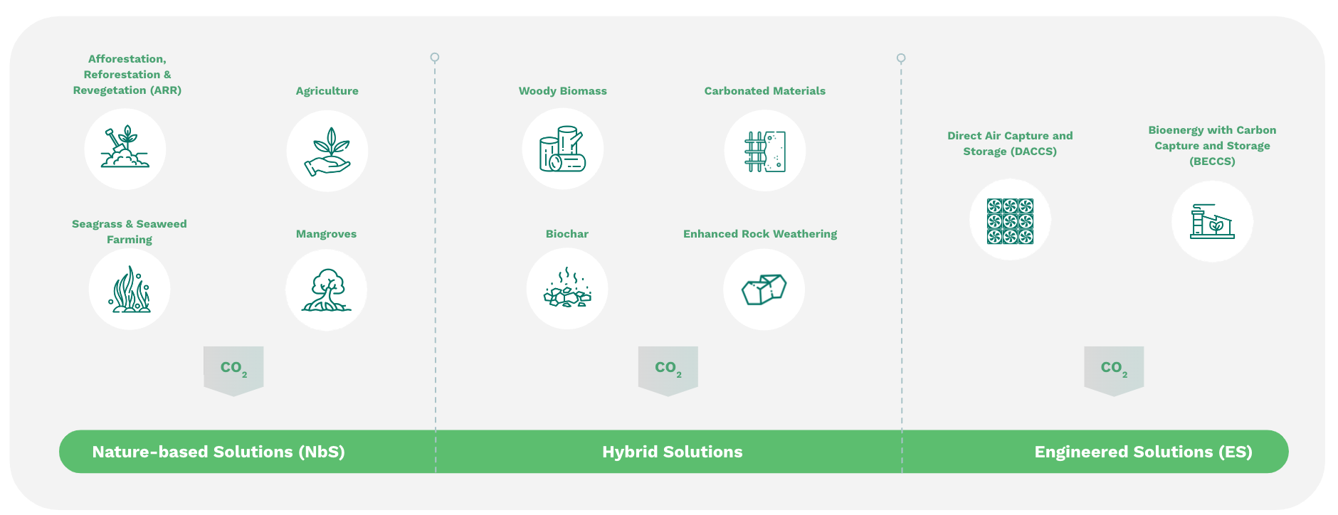 Top 6 carbon removal methods for Net Zero strategies