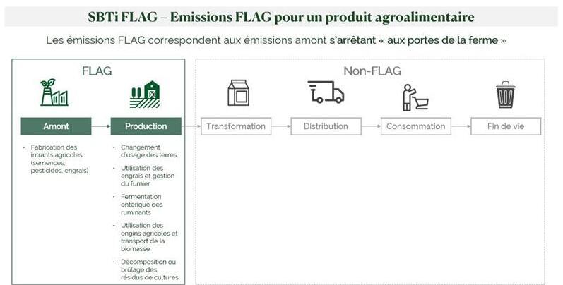 What Are FLAG Emissions and Their Role in the Low-Carbon Transition?