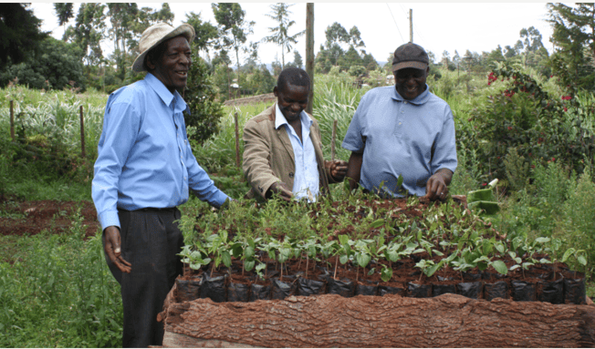 What are Afforestation, Reforestation & Revegetation (ARR) projects?