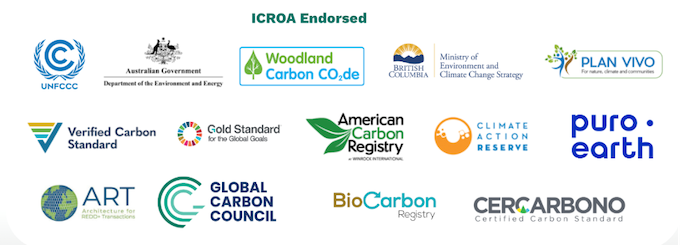 What is the Role of the Standards in the Voluntary Carbon Market?