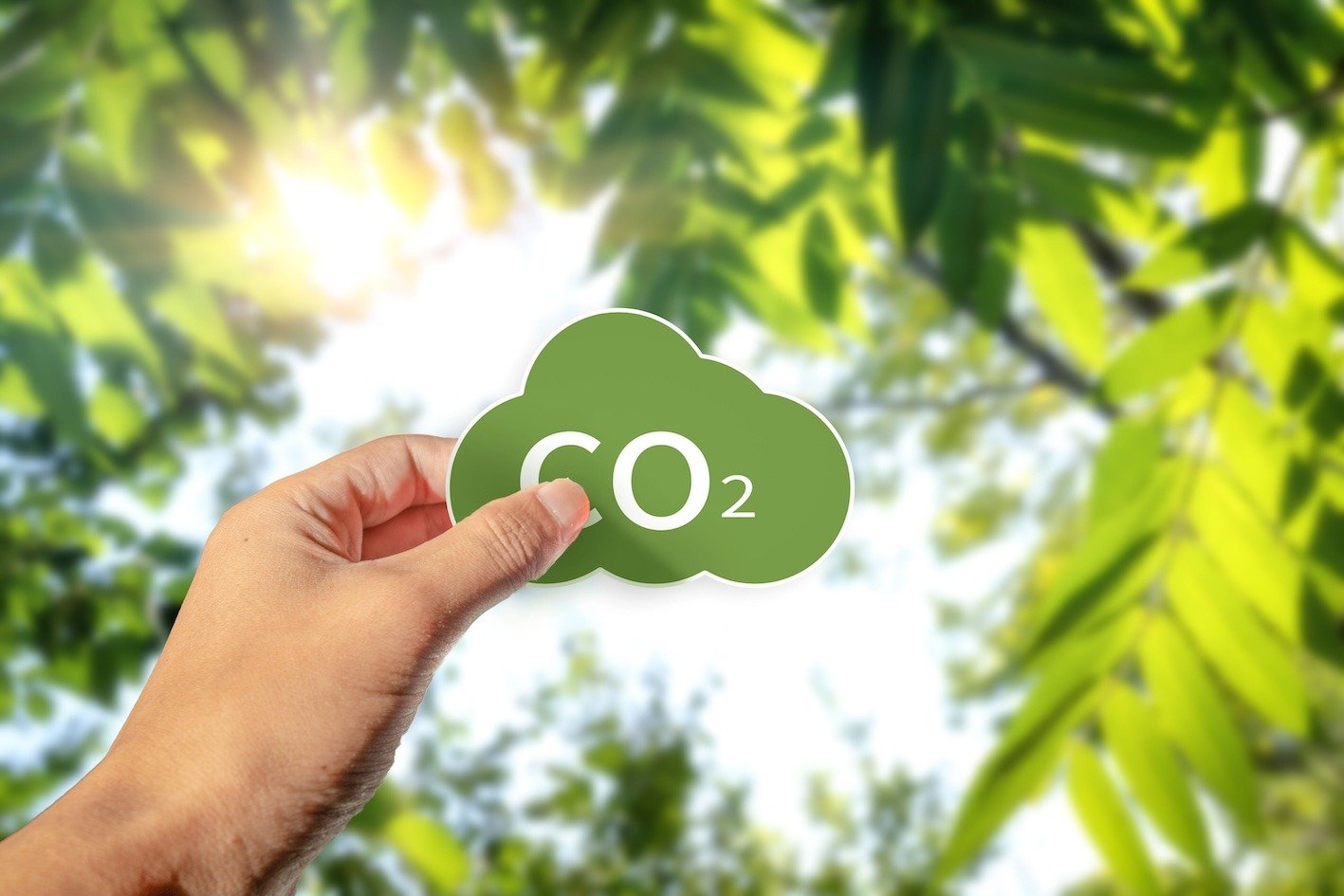Everything you need to know about carbon capture