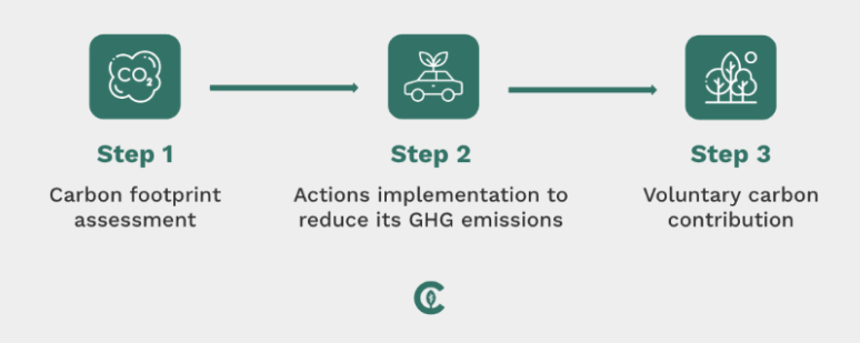 Understanding Voluntary Carbon Contributions: stakes & mechanism