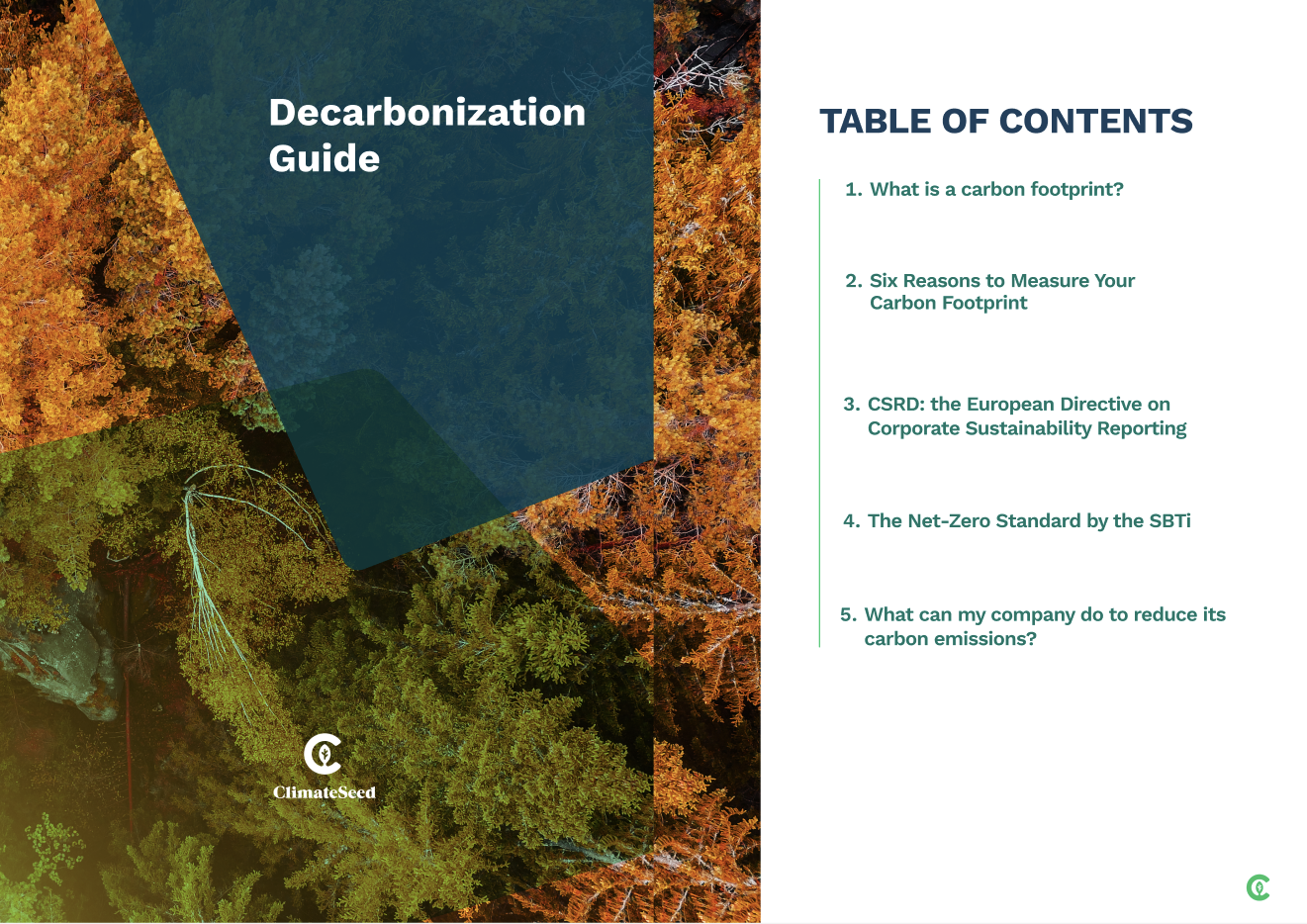 Free guide : Understanding the basics of decarbonization