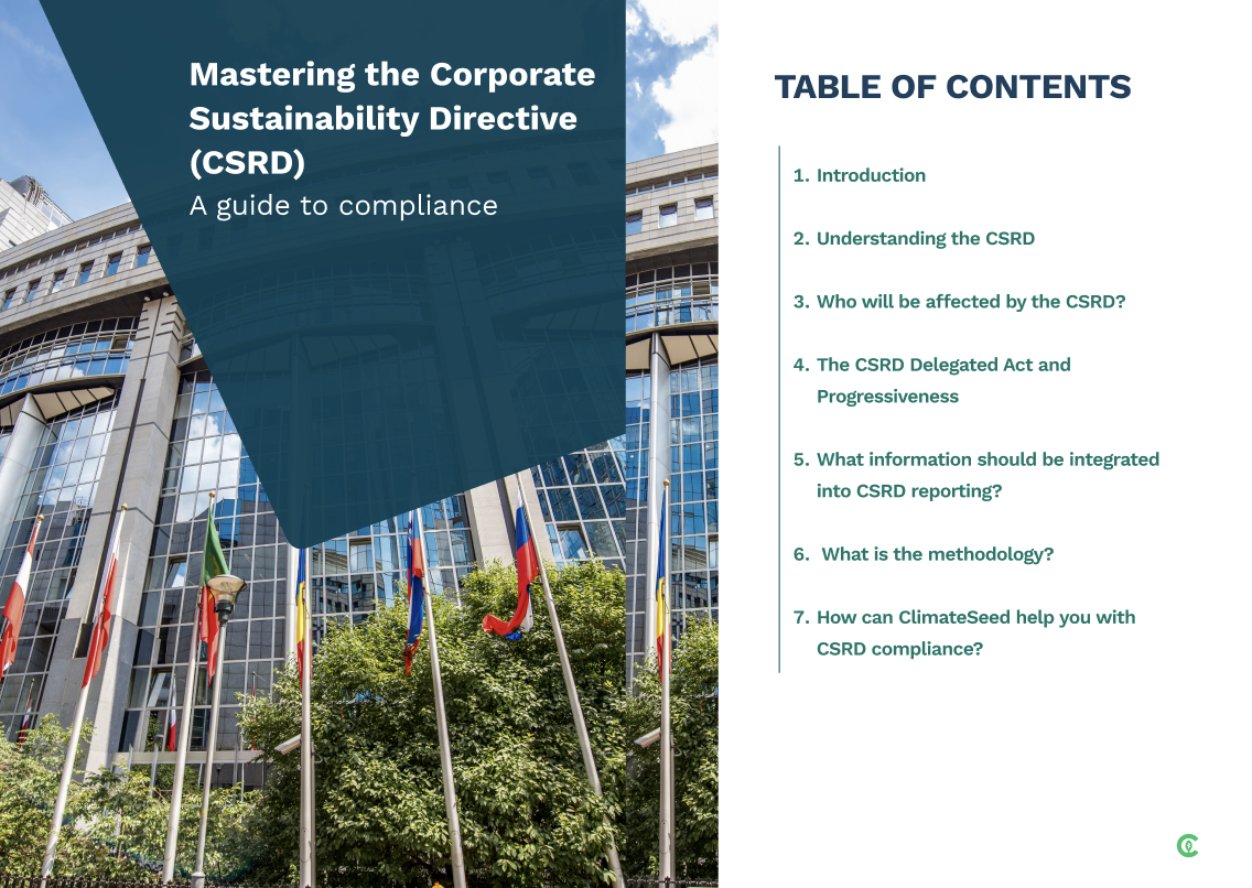 Mastering the CSRD: the guide to compliance